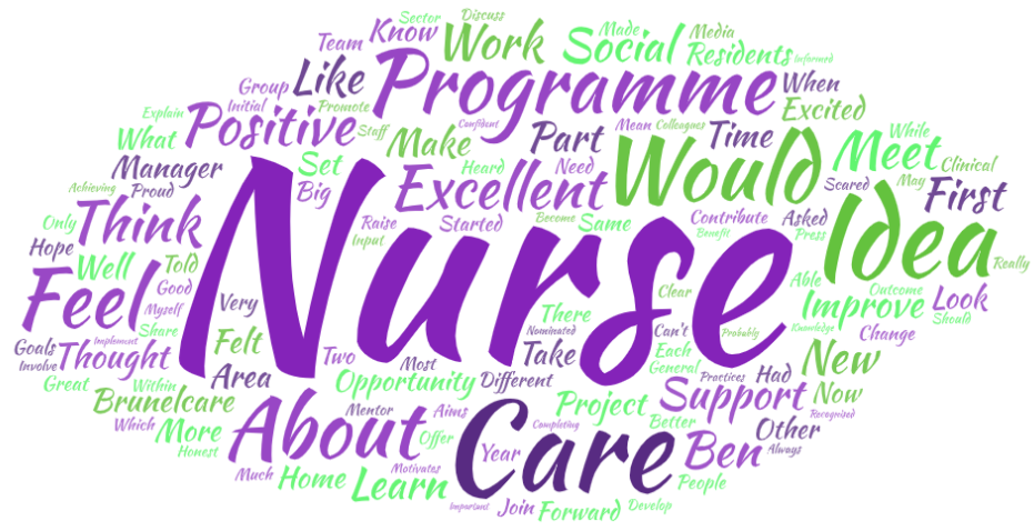 100 words on the Brunelcare Excellence in Nursing programme | Brunelcare