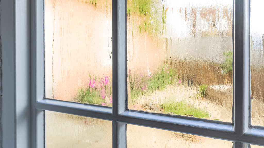 Tips to prevent mould and condensation in your home | Brunelcare